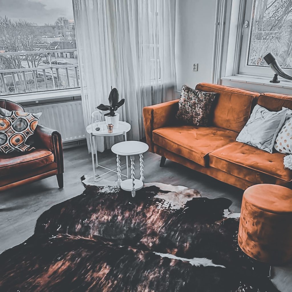 30 Living Rooms Adorned with Cowhide Rugs- 2020 - Page 5 of 30 ...